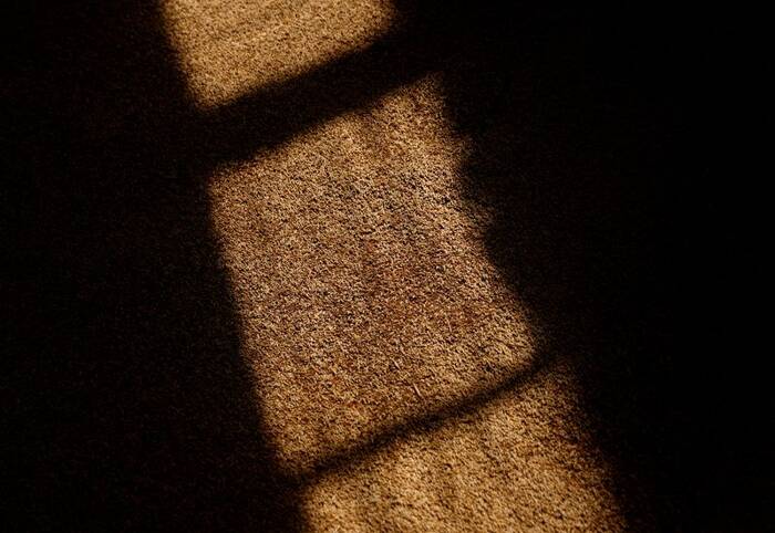 Exclusive-Argentina’s Bioceres to seek Australia approval to plant its ...