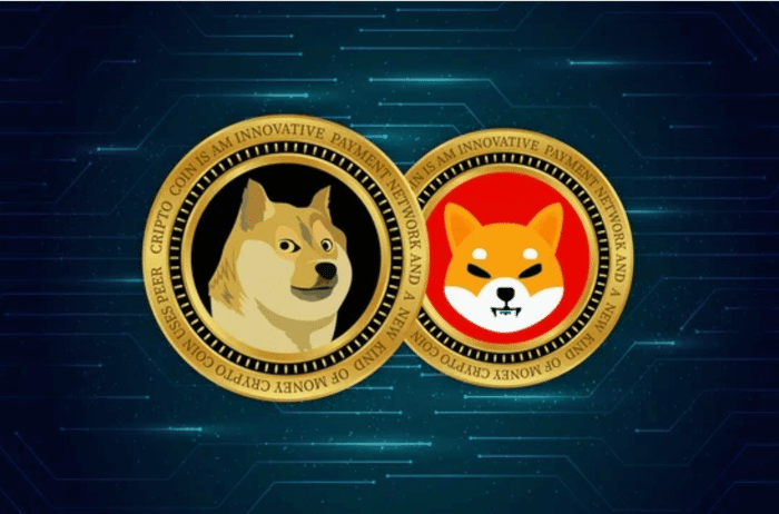 Shiba Inu Price Forecast: SHIB whale demand dips $700M amid DOGE rally | FXEmpire